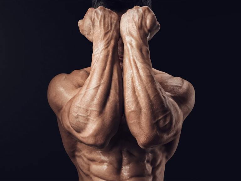Forearm Strength: The Secret to a Longer Life – trim down and shape up